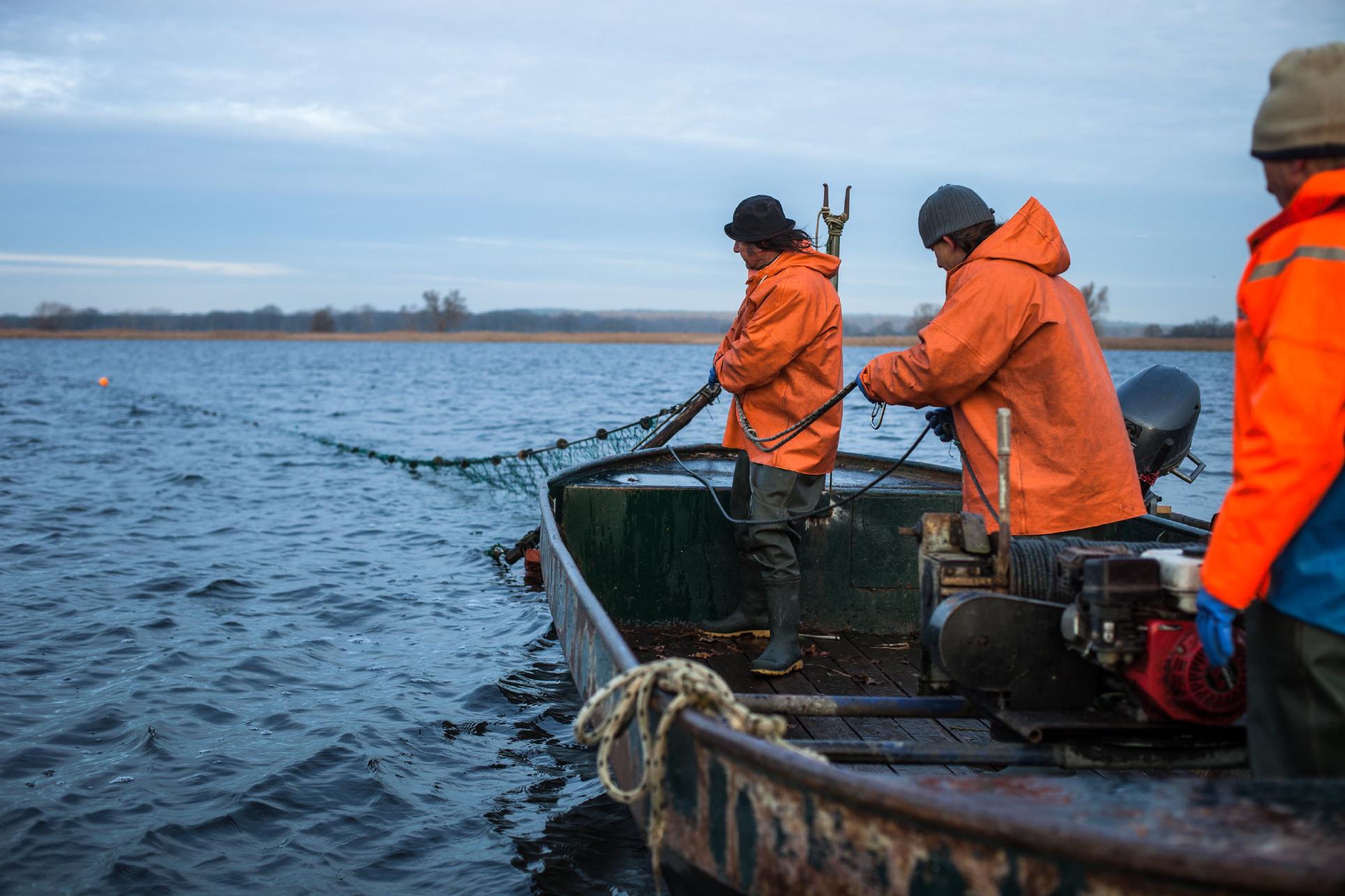Fischerei erleben -- Fischerei Schröder
